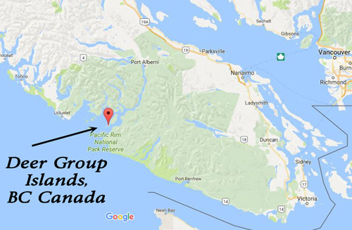 Deer Group Paddling Tales – KayakingSkills